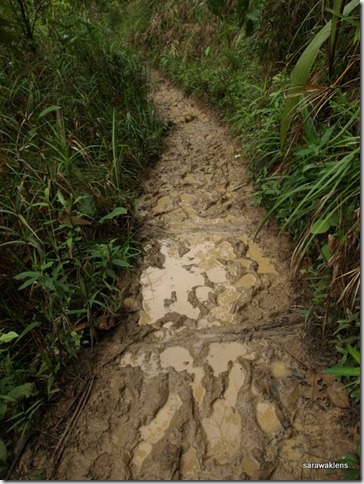 Sarawak Lens: Trekking on muddy trails (part 2)